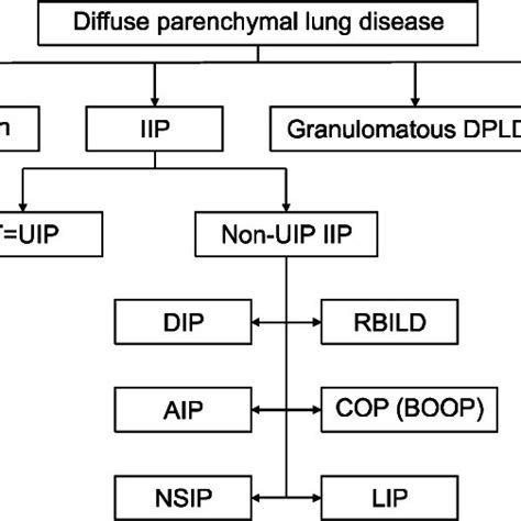 Dplds Consist Of Disorders Of Known Causes E G Collagen Vascular
