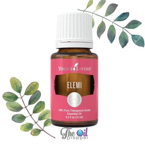 Elemi essential oil is spicy and grounding and has been used in Europe ...