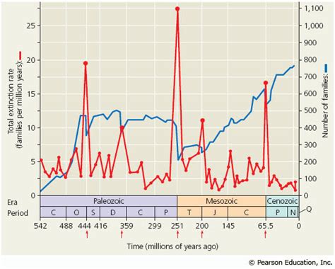 Solved The Five Generally Recognized Mass Extinction Even