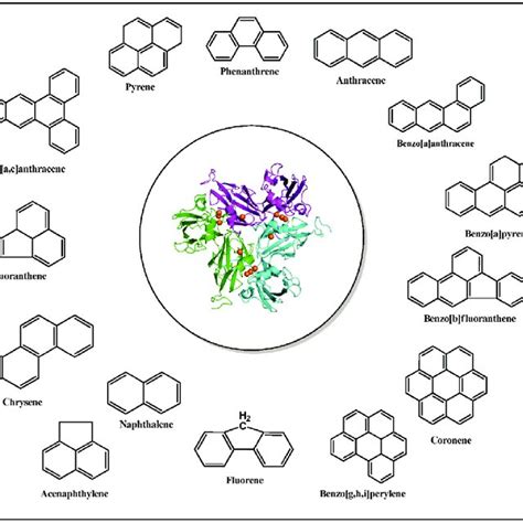 Structure Of Bacterial Laccase Download Scientific Diagram