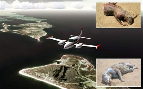 Plum Island Und Das Montauk Monster Videos Zaronews