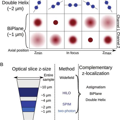 Principles Of 3d Single Molecule Super Resolution Methods ~a Download Scientific Diagram