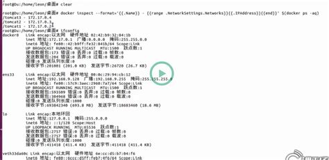 Docker容器ip地址的设定 初学的橘子 博客园