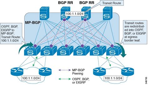 Cisco Apic Layer 3 Networking Configuration Guide Release 6 1 X Transit Routing [cisco