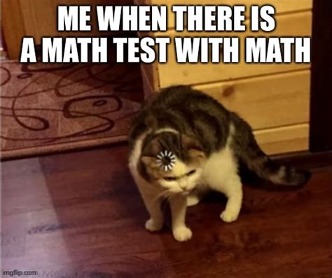 Cat Math Memes