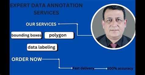 Provide Image Annotation Data Labeling Bounding Box Segmentation By