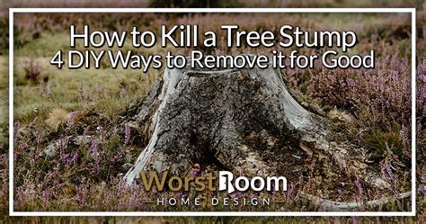 How To Kill A Tree Stump 4 DIY Ways To Remove It For Good Worst Room