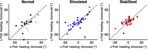 Comparison Of Heading Preference Shifts Between Monocular And Binocular