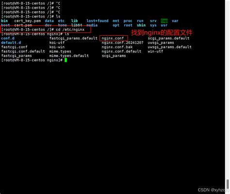 Linux中通过nginx代理域名并配置ssl证书nginx配置域名及ssl证书 Csdn博客