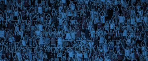 Pmg 360 Pmg Intelligence