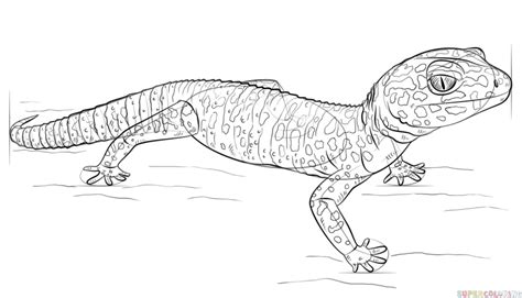 Leopard Gecko Coloring Page Kaitlinteorozco