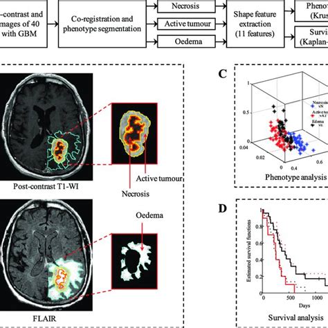 A A Processing Diagram Of The Proposed Method And Analyses B An Download Scientific