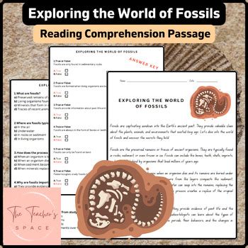 Exploring The World Of Fossils Reading Comprehension Passage TPT
