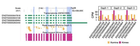 Publication Spotlight How Kinnex Long Read Rna Sequencing Wins Out