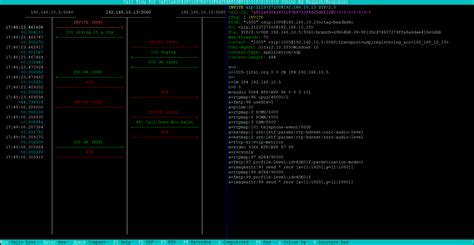 BUG Does Not Terminate The Call Upon Re Invite Pings Failure Issue OpenSIPS Opensips