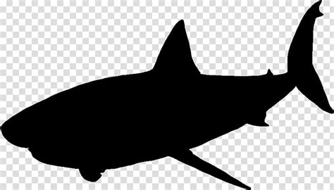 Great White Shark Silhouette Tiger Shark Great Hammerhead Shark