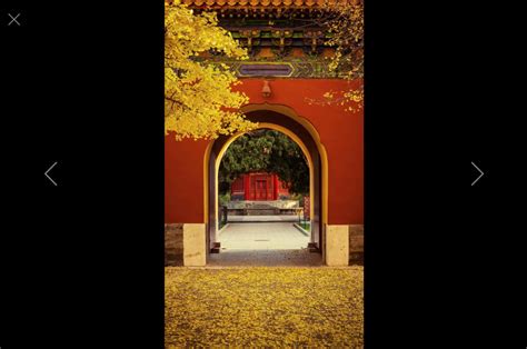 Photoview 是一个简单且用户友好的照片库 Eight Six Nine