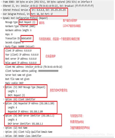 计算机网络捕获dns、dhcp数据包并分析实验报告 b dns数据包的捕获与分析 csdn博客