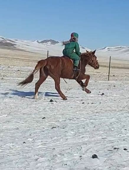 Д Нямсүрэн Д Нямсүрэн Added A New Photo