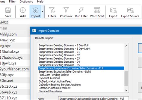 Domain Name Filter Professional