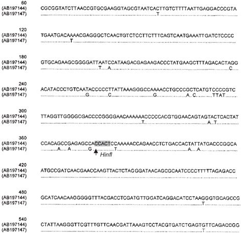 clustal w alignment of the partial dna sequences of the mitochondrial