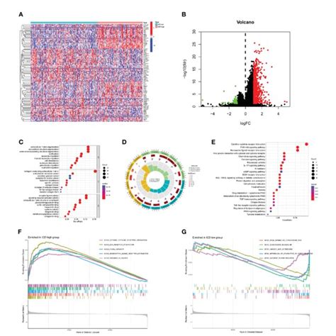 Identification Of Different Immunogenic Cell Death Icd Related