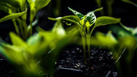 Typo3 Use Cases Typo3 The Open Source Enterprise Cms