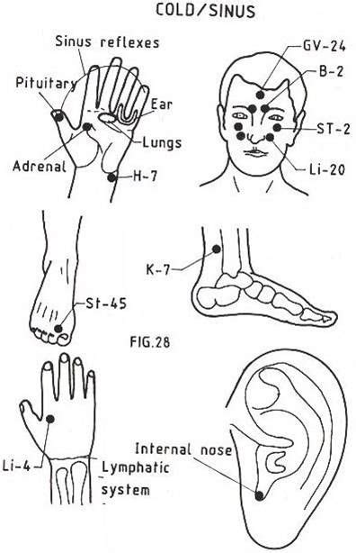 Acupressure Healing Acupressure Treatment Acupressure Acupressure