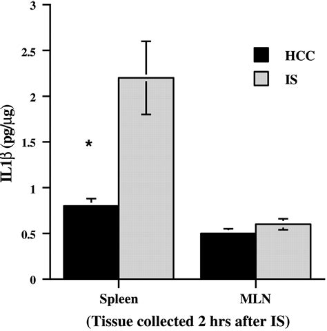 Elevated Il 1β Contributes To Antibody Suppression Produced By Stress Journal Of Applied