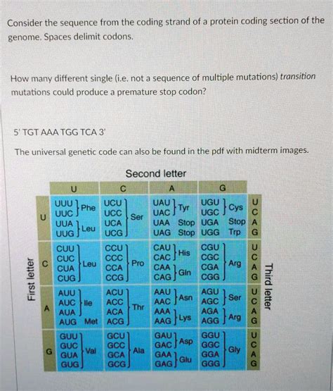 Solved Consider The Sequence From The Coding Strand Of A Protein