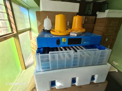 Smart Intelligent Eggs Incubator Ecochicks Poultry Limited