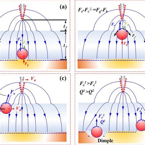 Schematic Of The Mechanism Of Droplet Dynamics In Electric Fields A Download Scientific
