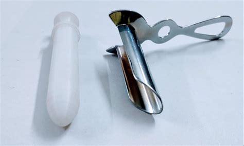 Stainless Steel Protoscope Half Cut Free At ₹ 850piece In New