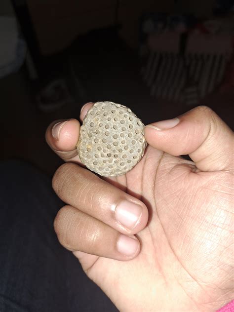 Trypophobia Warning I Found It In A Parking Lot Of Rocks Rwhatsthisrock