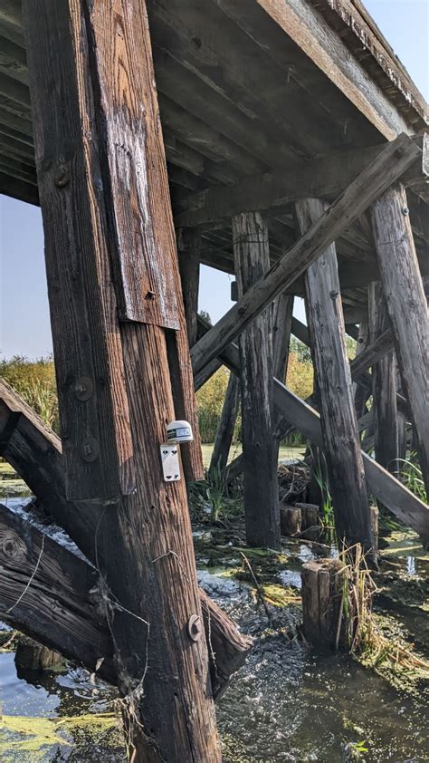 Railway Railroad Railinfrastructure Railindustry Railfreight Monitoring Summit