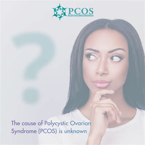 Pcos Testing And Diagnosis How To Tell If You Have Pcos — Pcos Awareness