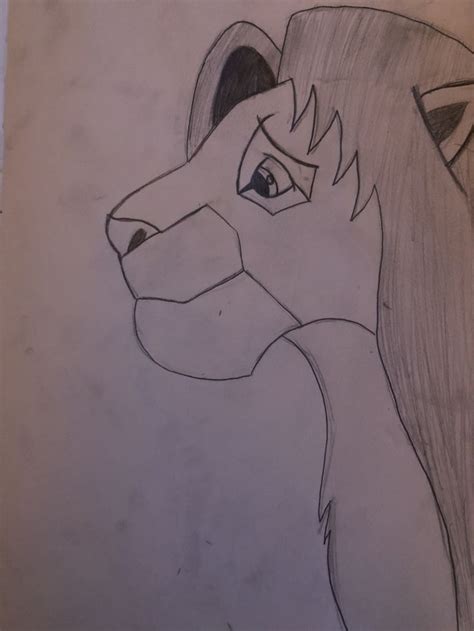 Simba Drawing Drawings Sketches Humanoid Sketch