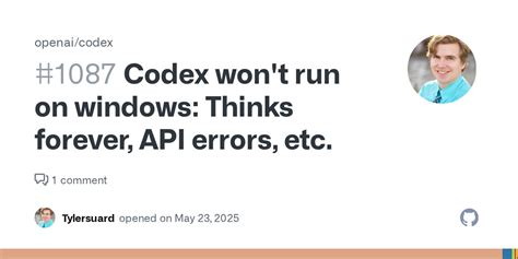 Codex Wont Run On Windows Thinks Forever Api Errors Etc · Issue