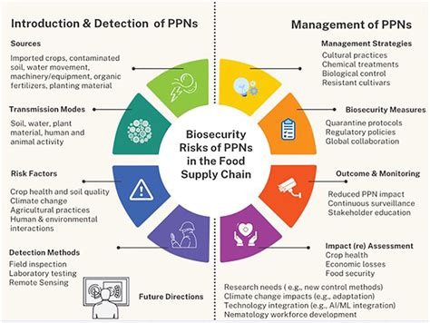 Flowchart Illustrating The Framework For Synthesizing The Biosecurity