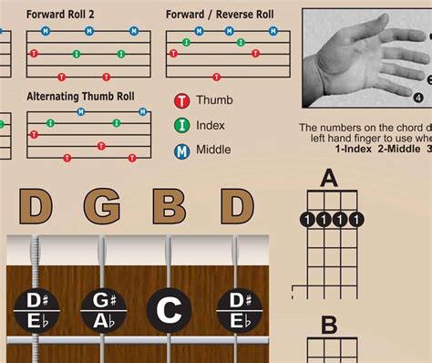 Laminated Banjo Chord Chart Poster Fretboard Rolls 5 String Chords