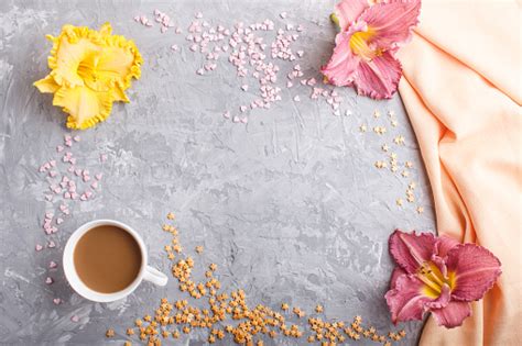 회색 콘크리트 배경에 노란색 Anf 보라색 하루 백합 커피 컵 오렌지 섬유와 함께 마니니그 봄 패션 구성 플랫 레이 상단 보기 복사 공간 0명에 대한 스톡 사진 및 기타