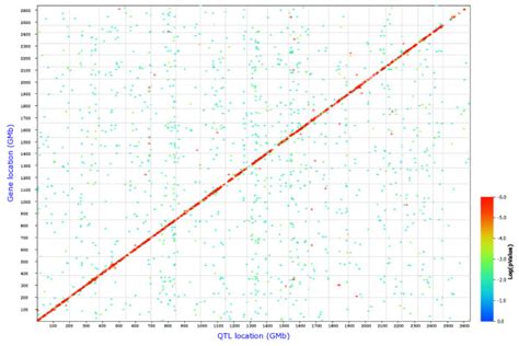 Genome Wide Graph Of Cis And Trans Eqtls The Positions Of The Eqtls