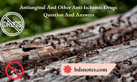 Antianginal And Other Anti Ischemic Drugs Question And Answers Bds Notes