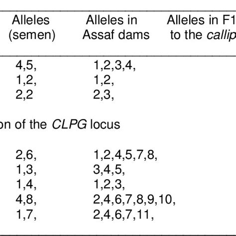 Identification Of Linkage Phase Between The Imported Callipyge Mutation