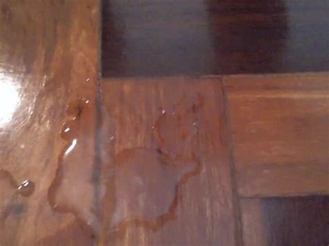 Free Mature Gay Cum Porn Videos Xhamster