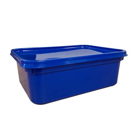 2 Litre Rectangle Standard Container And Lid Multiplas Ltd Store