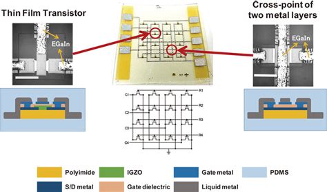 4 × 4 Stretchable Active Matrix Of Oxide Tfts Fabricated On A Hybrid Download Scientific