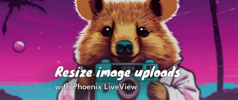 Resize Image Uploads With Phoenix Liveview Dev Community