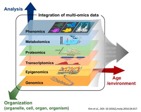 integrated multi omic data powering precision medicine