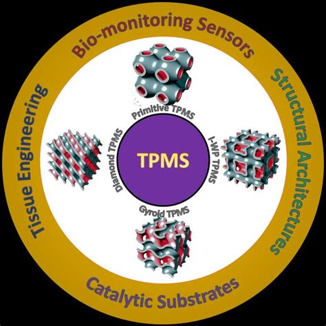 Classification Of Triply Periodic Minimal Surface Tpms Based Download Scientific Diagram